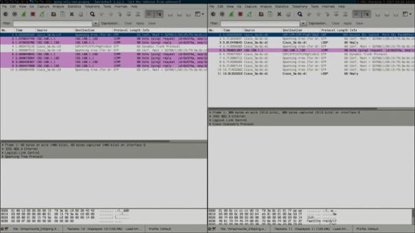 How to Defend Network Security From Packet Sniffers Like Wireshark